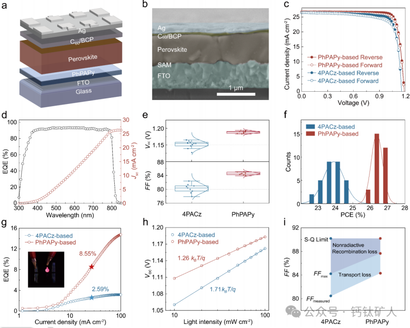 南开大学姜源植 Angew：26.74%！刚性芳香环SAM分子实现高效且稳定钙钛矿电池！-索比光伏网
