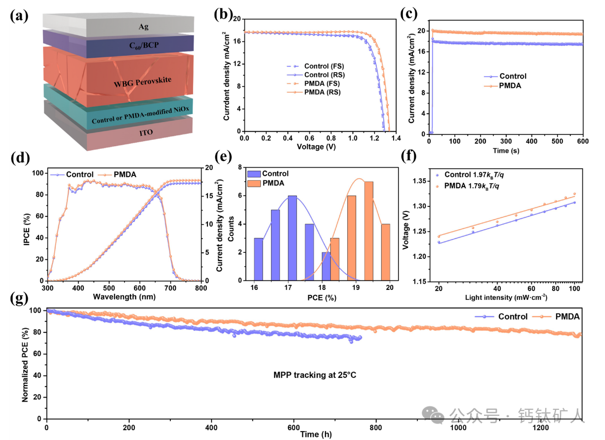 华南理工大学严克友 Angew：28.51%！Poly-SAMs助力实现高效稳定的全钙钛矿叠层太阳能电池！-索比光伏网