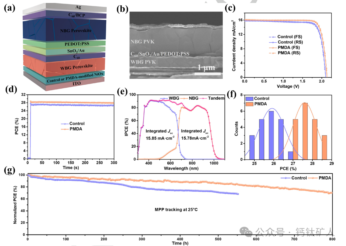 华南理工大学严克友 Angew：28.51%！Poly-SAMs助力实现高效稳定的全钙钛矿叠层太阳能电池！-索比光伏网